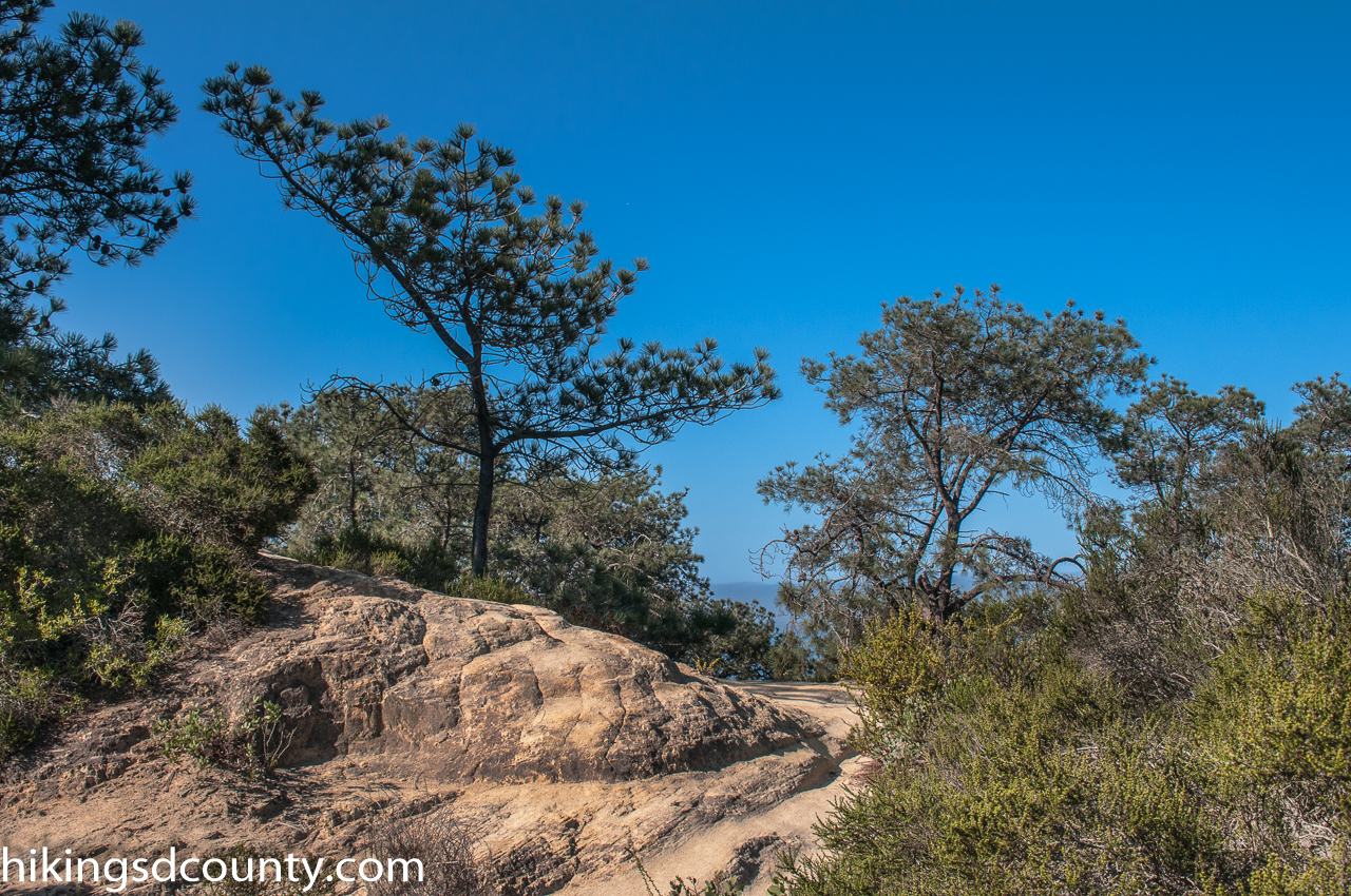 Torrey Pines State Natural Reserve Extension - Hiking San Diego County