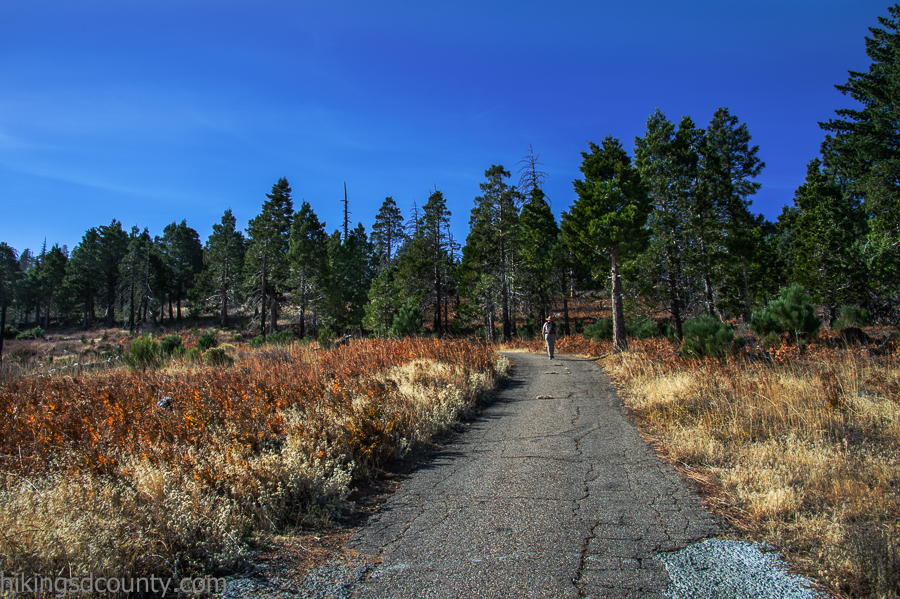 Cuyamaca Peak and Conejos Trail (Cuyamaca Rancho State Park) - Hiking ...