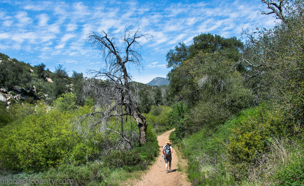 Sweetwater River Loop (Cuyamaca Rancho State Park) - Hiking San Diego ...
