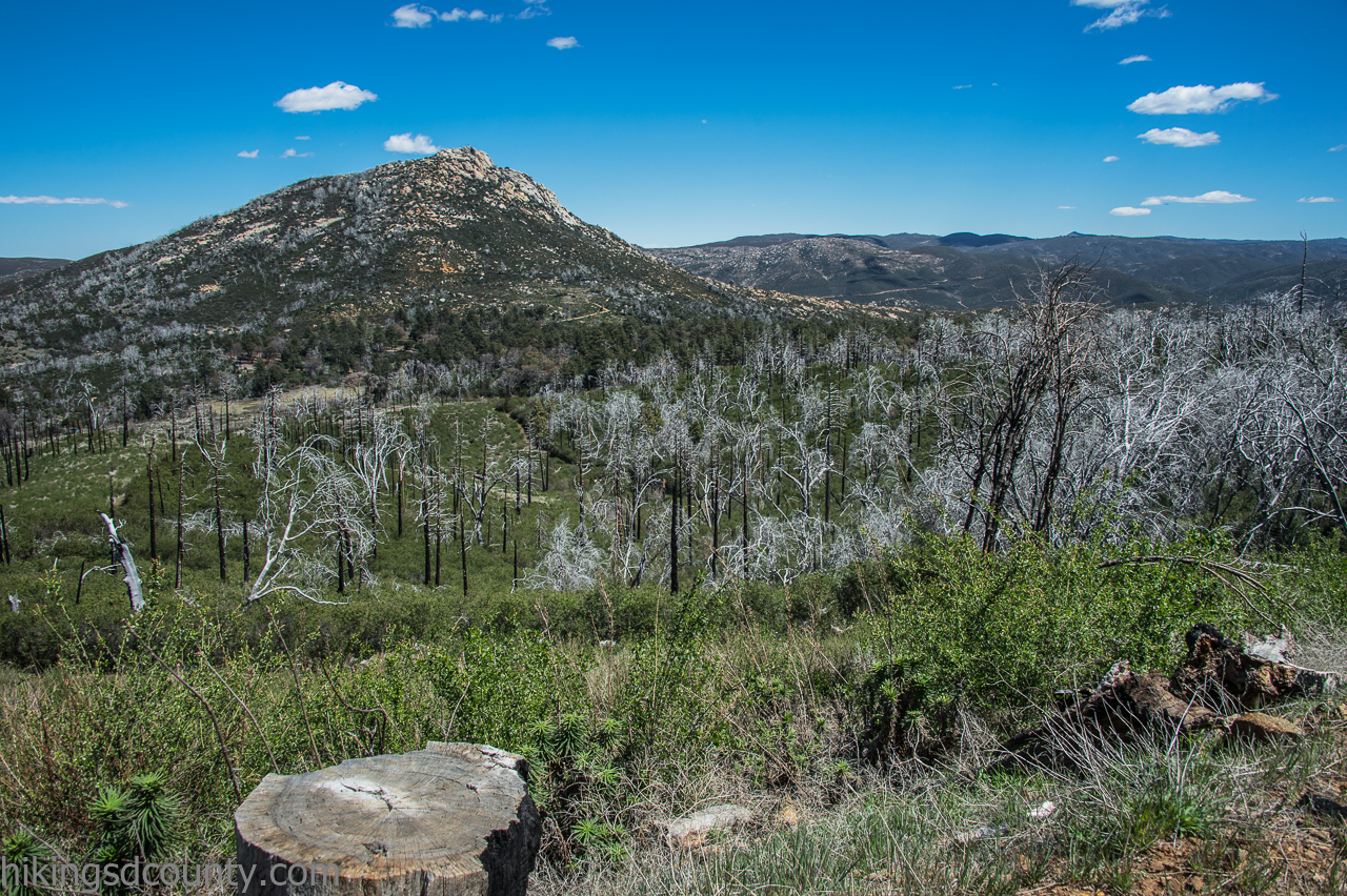 Azalea Glen Loop (Cuyamaca Rancho State Park) - Hiking San Diego County
