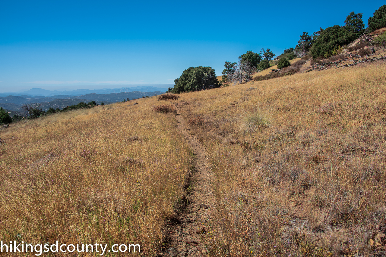 West Mesa Loop (Cuyamaca Rancho State Park) - Hiking San Diego County