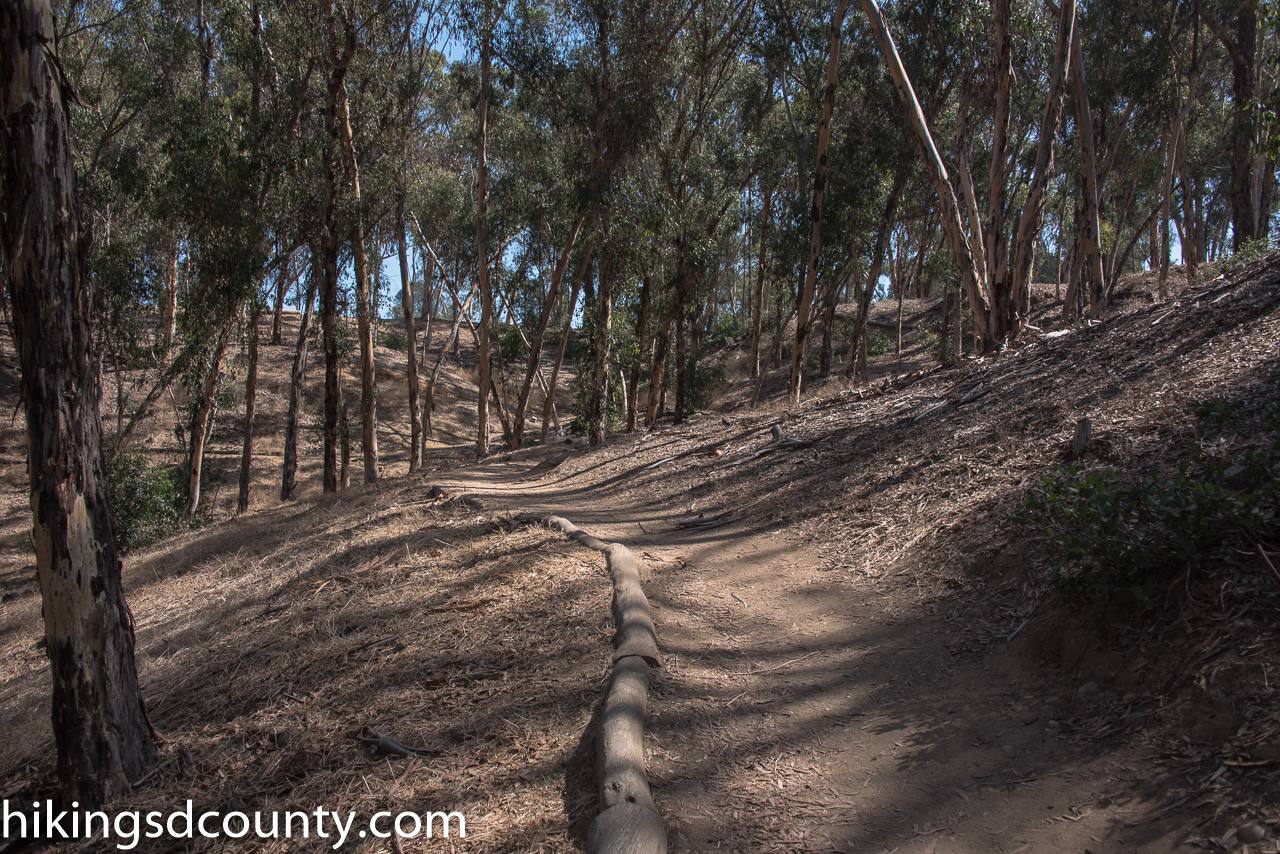 Hosp Grove - Hiking San Diego County