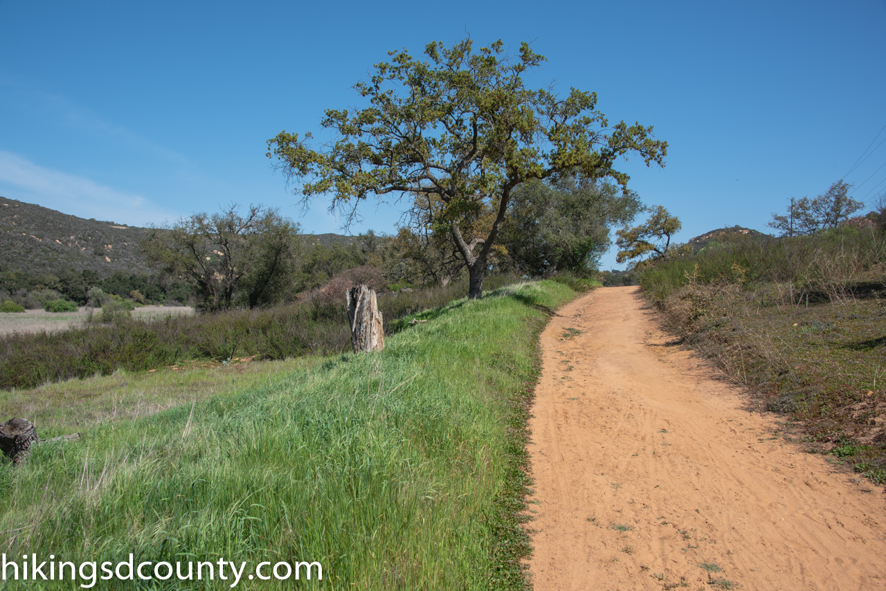 Jack Creek Meadow Loop (Daley Ranch) - Hiking San Diego County