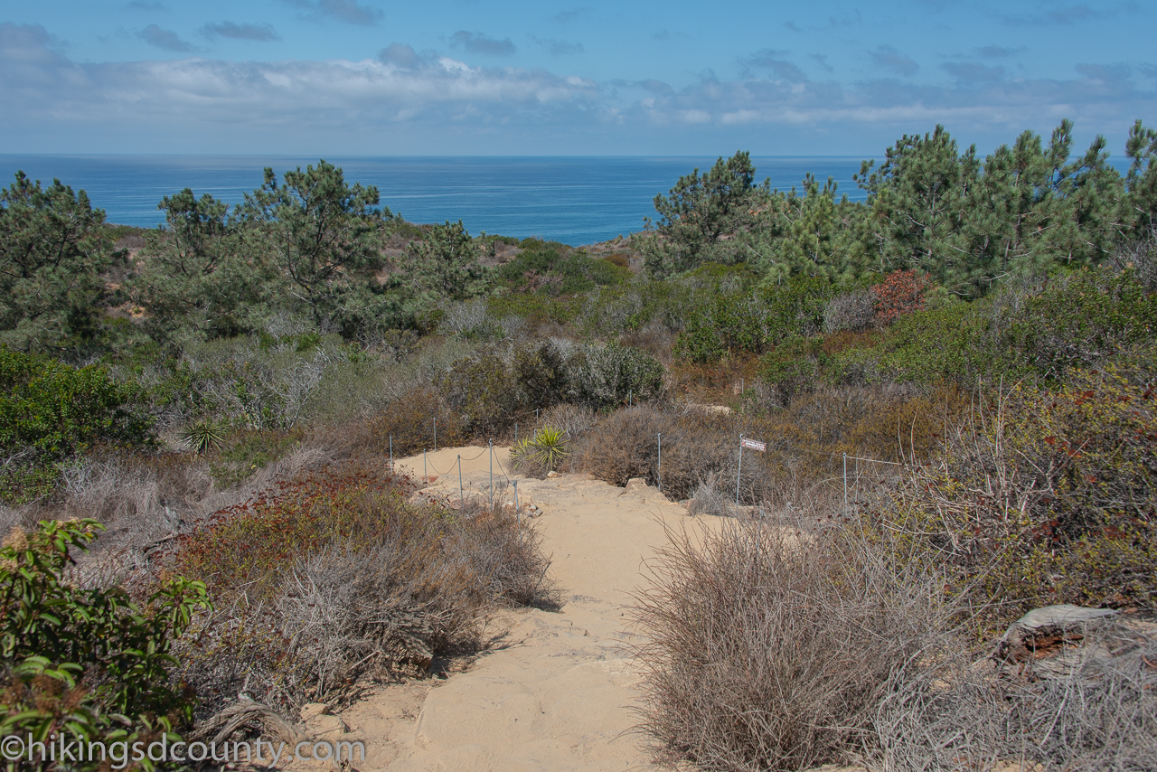 Parry Grove Trail (Torrey Pines State Natural Reserve) - Hiking San ...